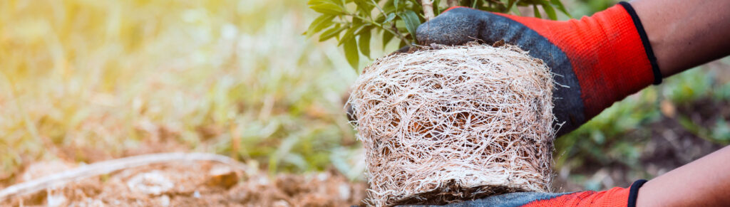 proper-planting-header - Wingard's Market